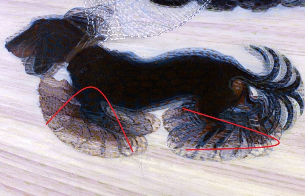 Dynamism Of a Dog On a Leash Value, Analysis & Interpretation