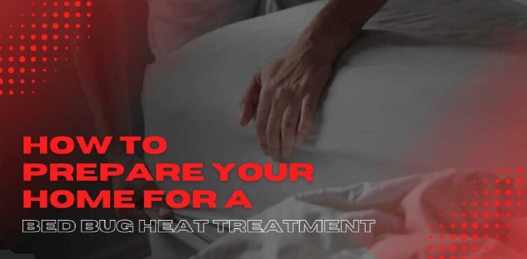 How To Prepare Your Home For A Bed Bug Heat Treatment Impartart